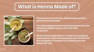 What is Henna Made Of: Exploring the Natural Ingredients